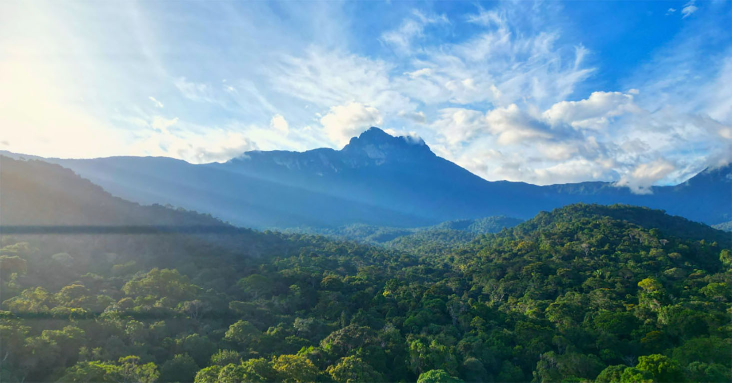 Pico da Neblina National Park - Discover Brasil
